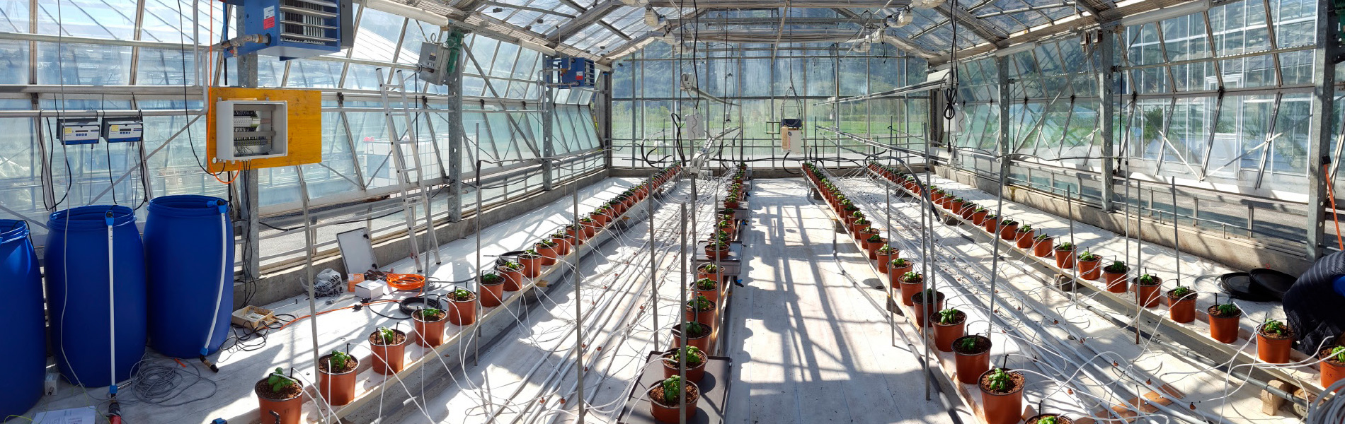 AQUA4D : Soil salinity management - AQUA4D